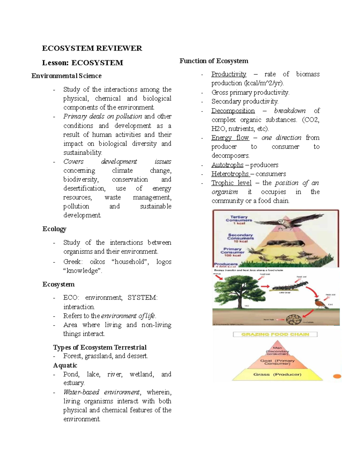 G1- Reviewer - ECOSYSTEM REVIEWER Lesson: ECOSYSTEM Environmental ...