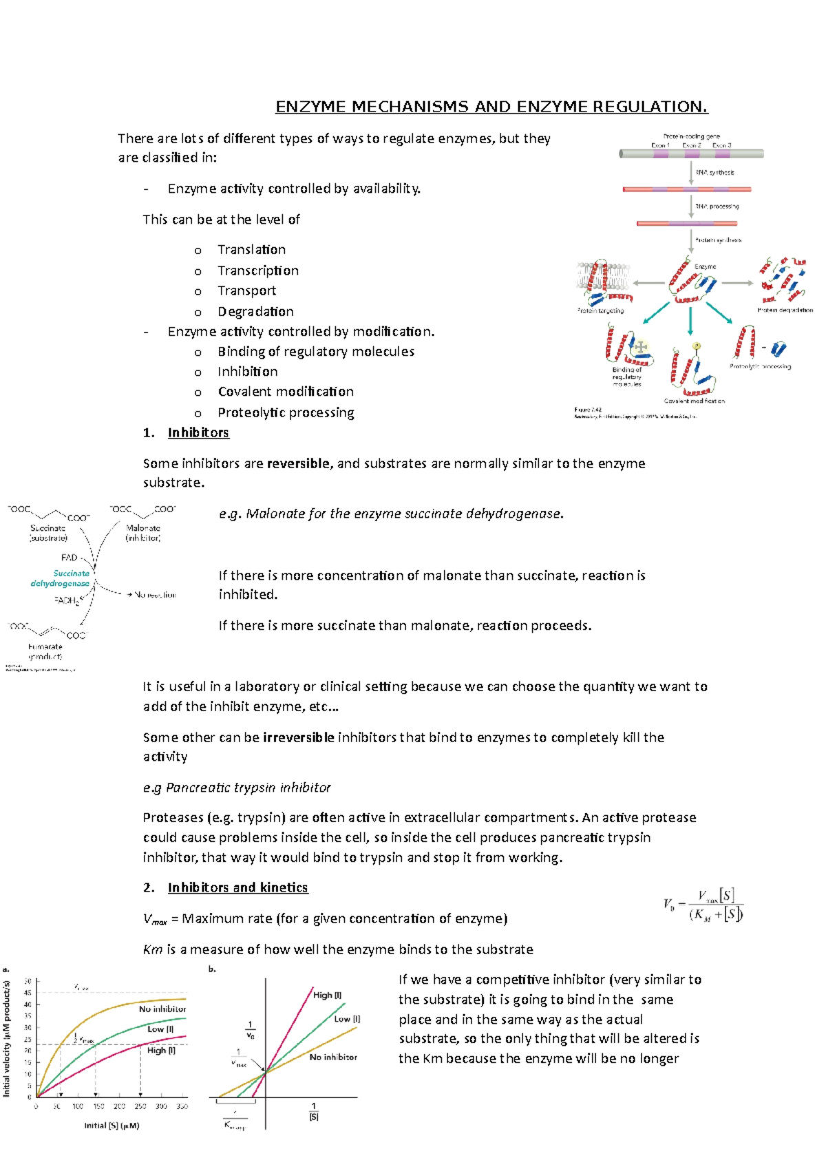 7. Enzyme mechanisms and enzyme regulation - ENZYME MECHANISMS AND ...