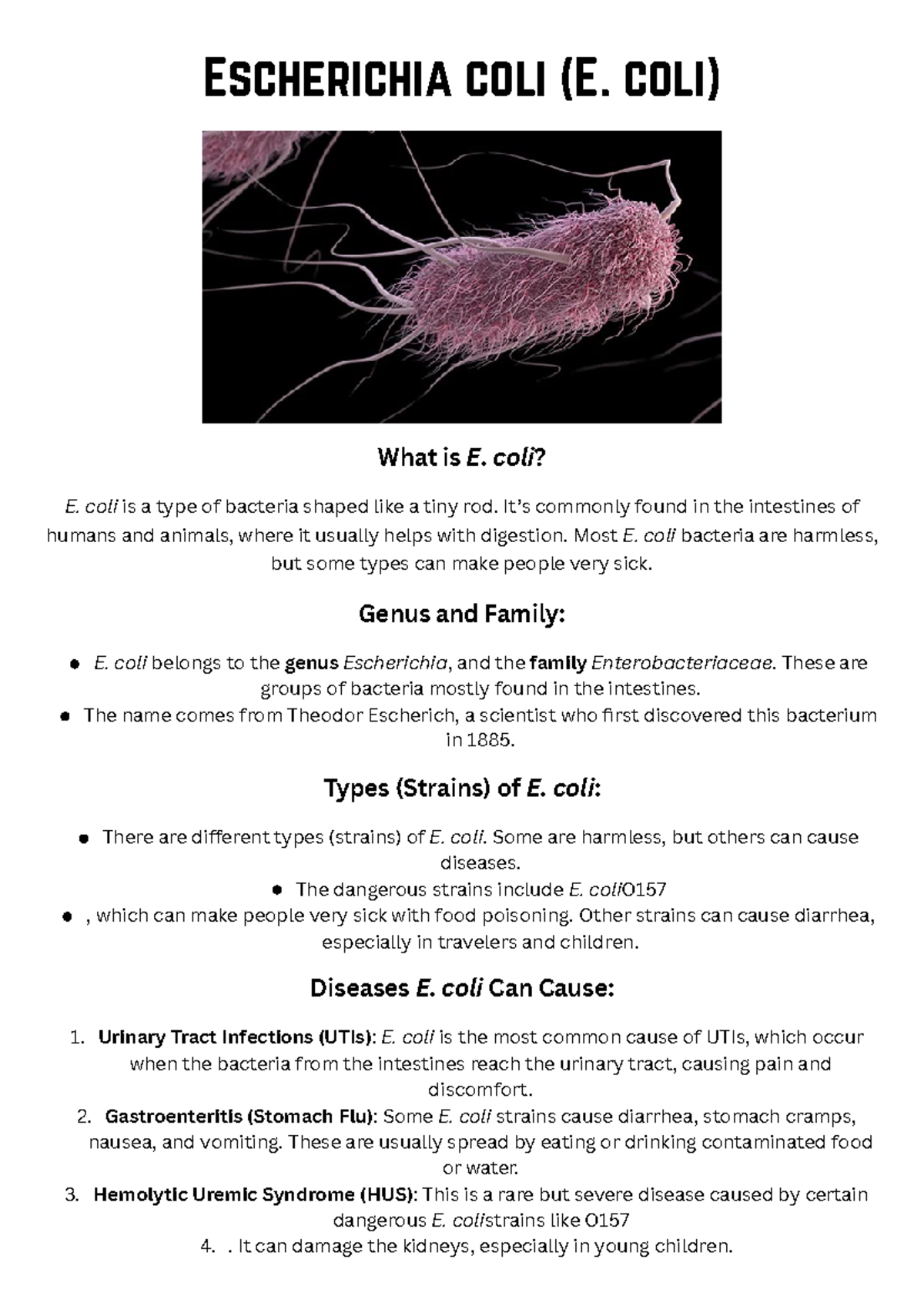 Escherichia-coli-E - This a description for E coli - Escherichia coli ...