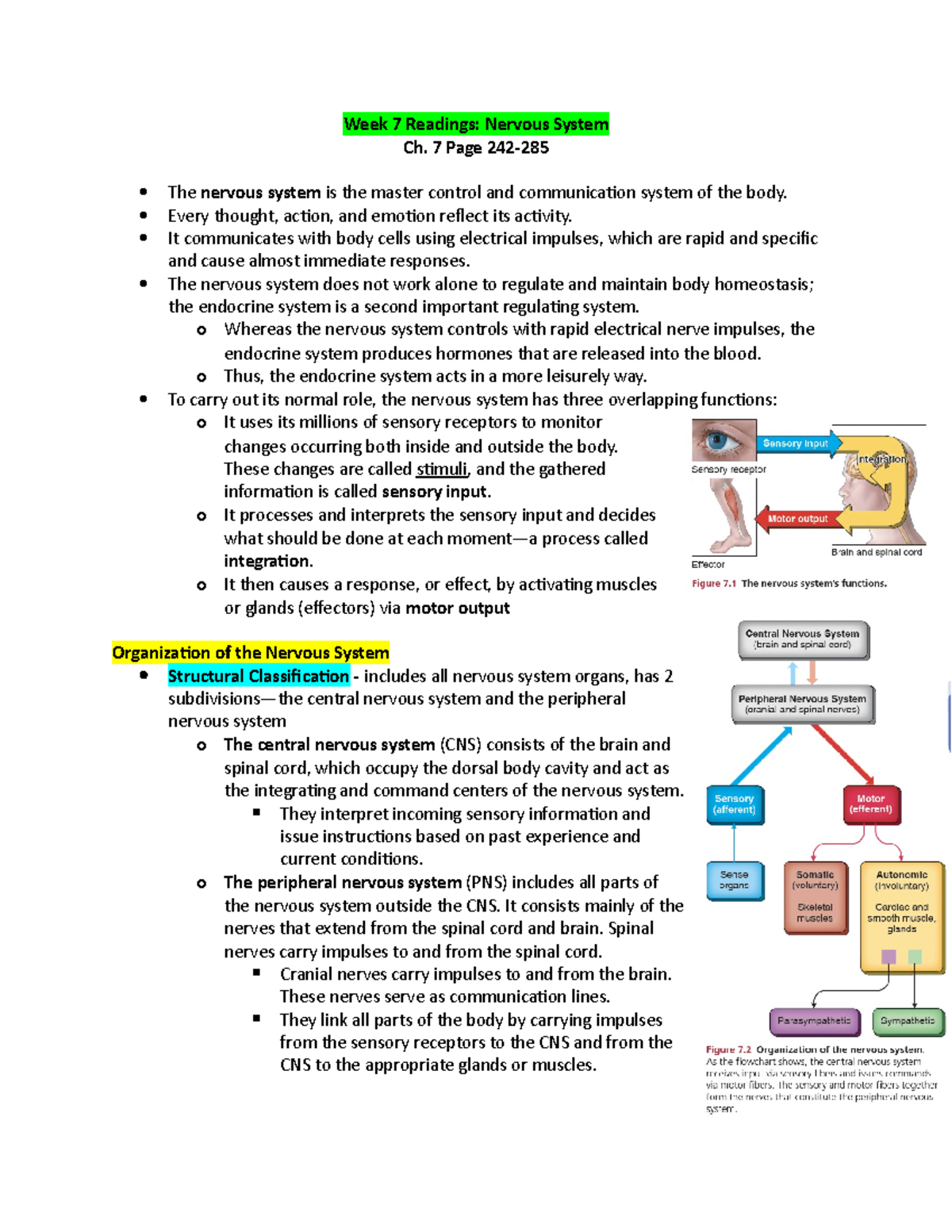 Week 7 Nervous System Readings - Week 7 Readings: Nervous System Ch. 7 ...
