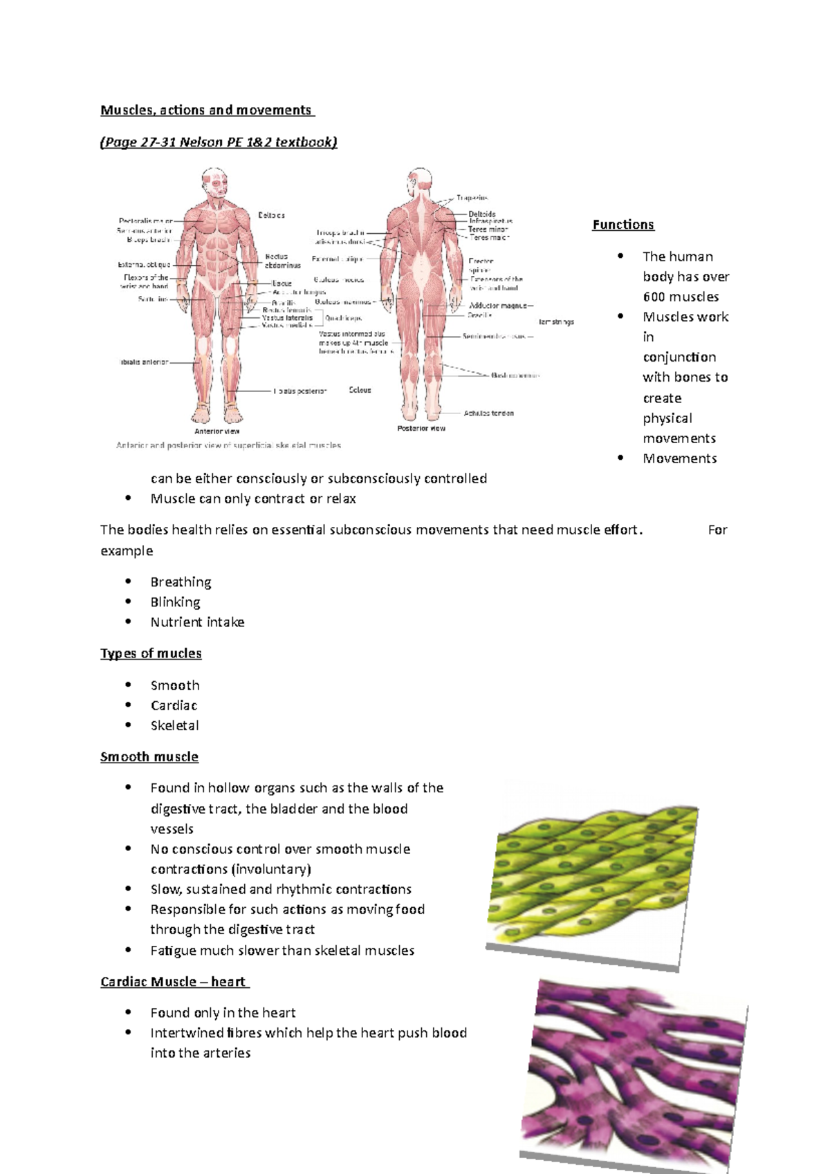 Muscles, Actions and Movements - Muscles, actions and movements (Page ...