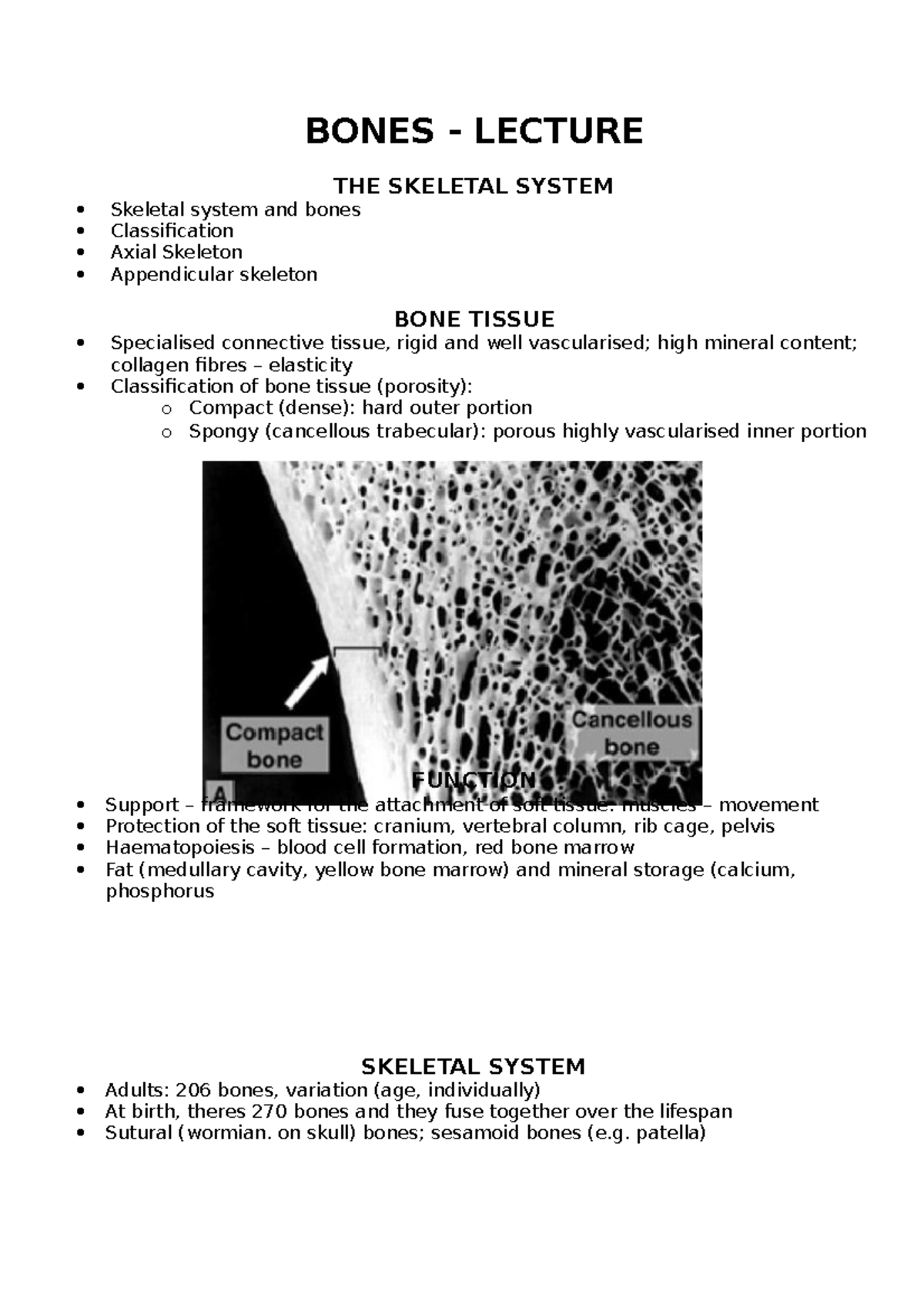 Bones - lecture anatomy - BONES - LECTURE THE SKELETAL SYSTEM Skeletal ...