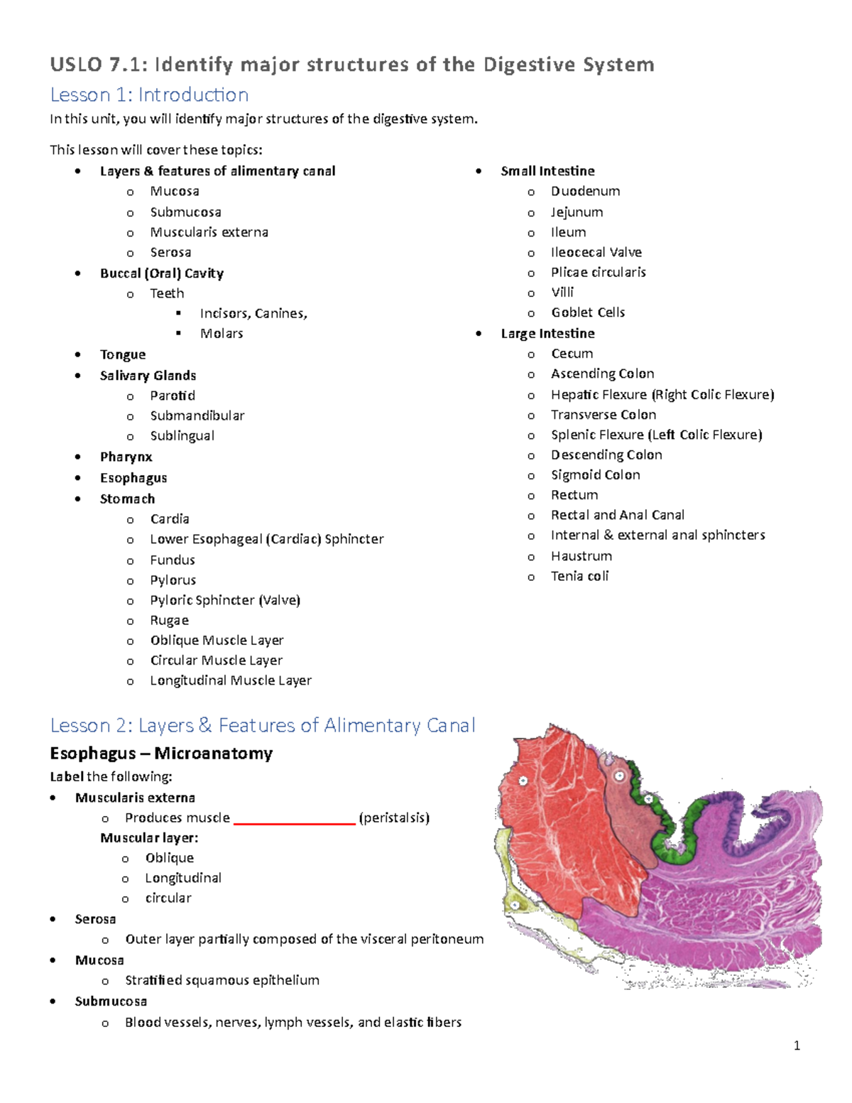 1350 USLO 7 student - Practice sheet for ap lab - USLO 7 .1: Identify ...