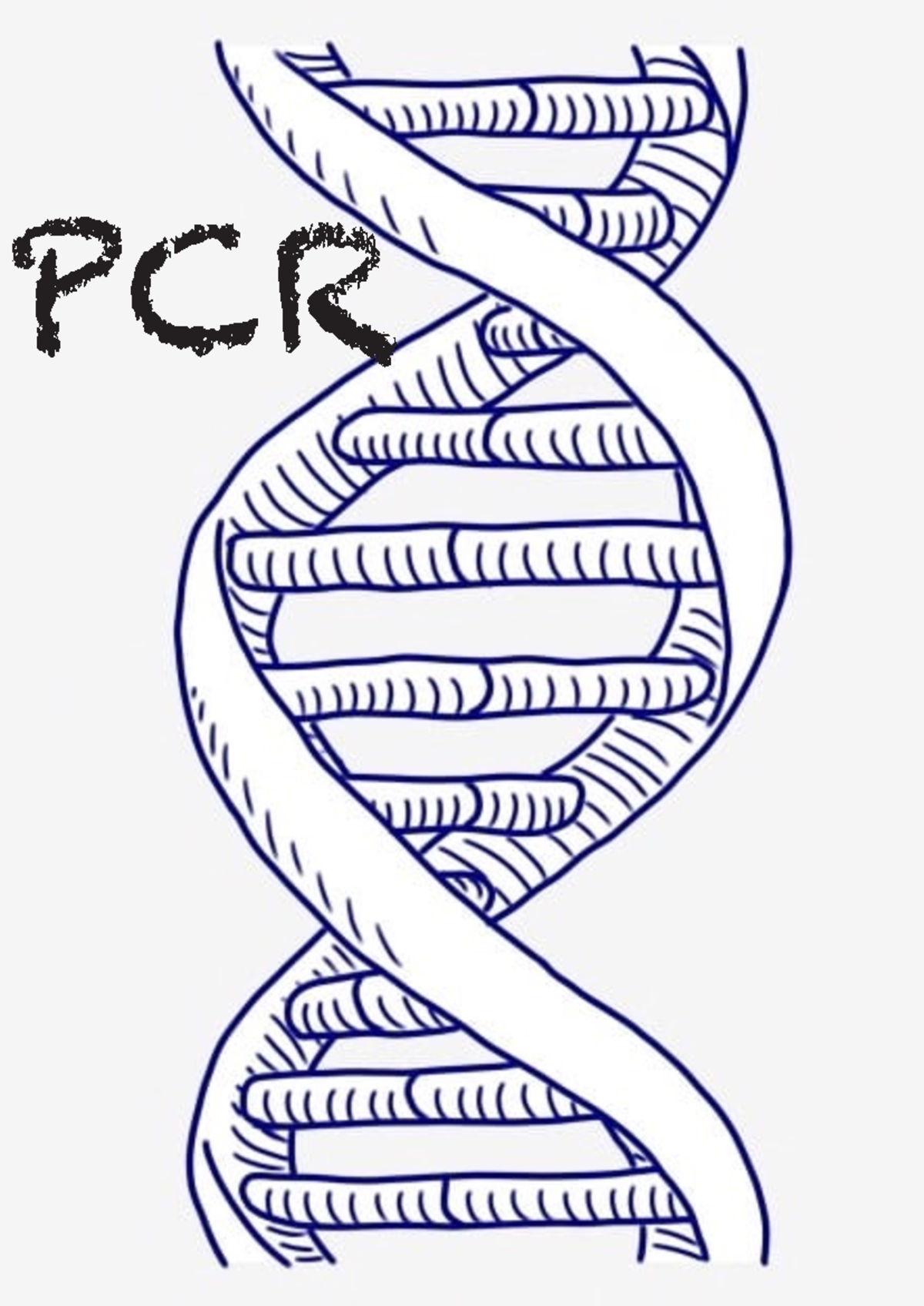 PCR - Pcr biología molecular y citogenetica - PCR La reacción en cadena ...