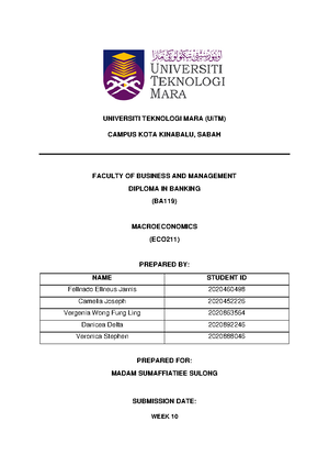 ENT300 INDIVIDUAL ASSIGNMENT - FACULTY OF BUSINESS AND MANAGEMENT ...