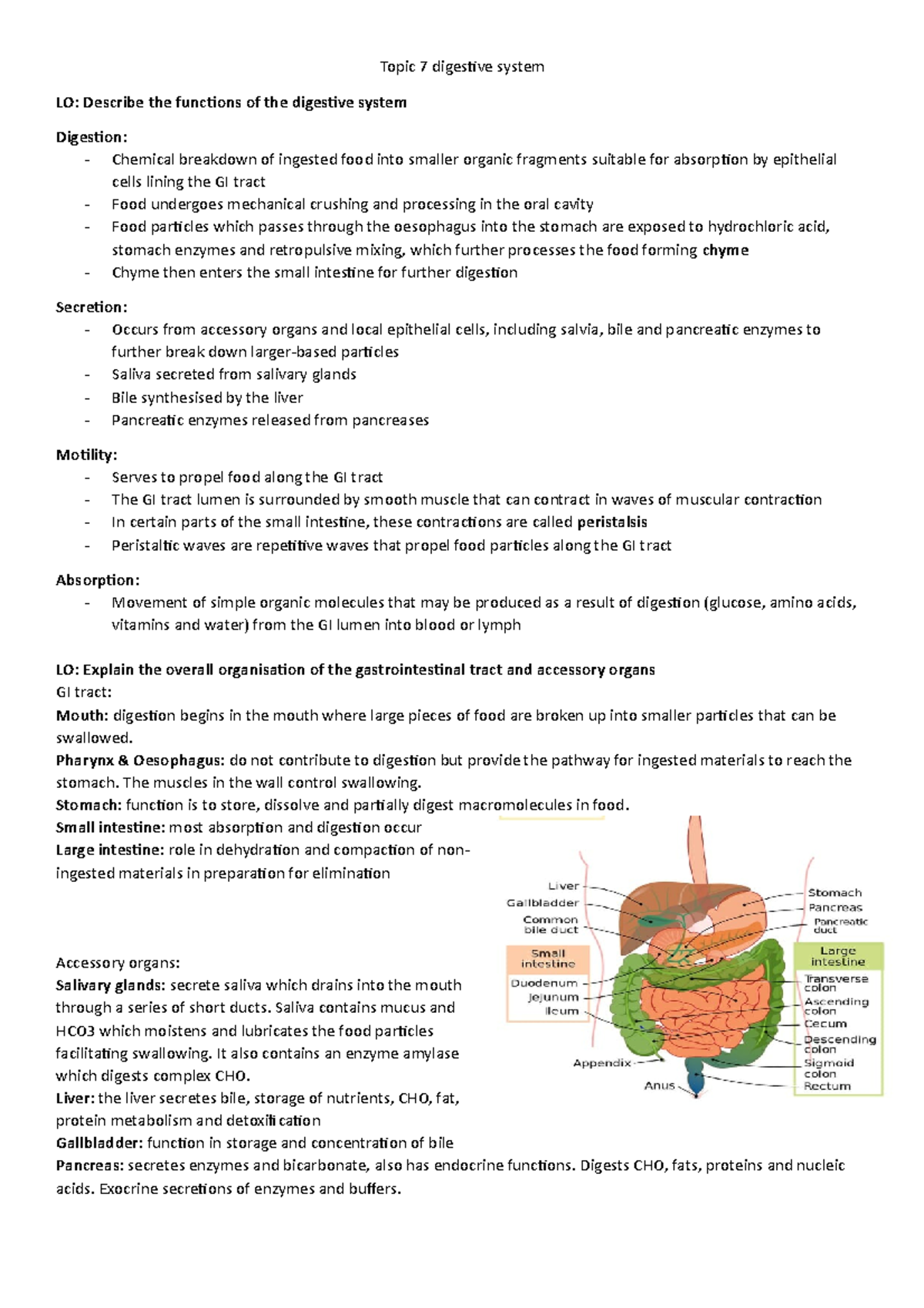 Topic 7 digestive system - Topic 7 digesive system LO: Describe the ...