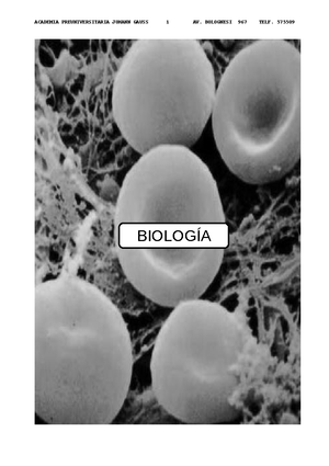 Los 5 reinos - bnjjk - 5 reinos ¿ CONCEPTO: El reino plantae puede ...