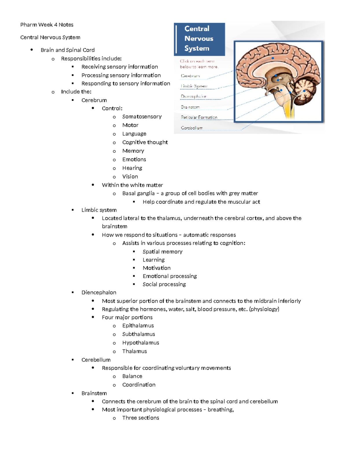 Unit 4 Pharm Notes - Pharm Week 4 Notes Central Nervous System Brain ...