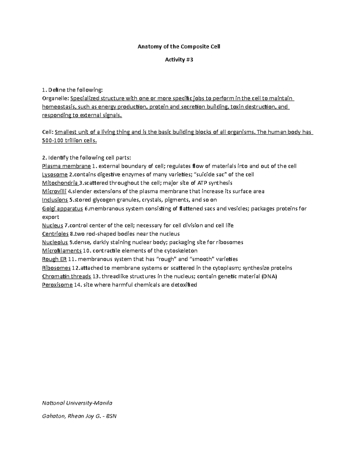 Anatomy of the Composite Cell ( Answers) - Anatomy of the Composite ...