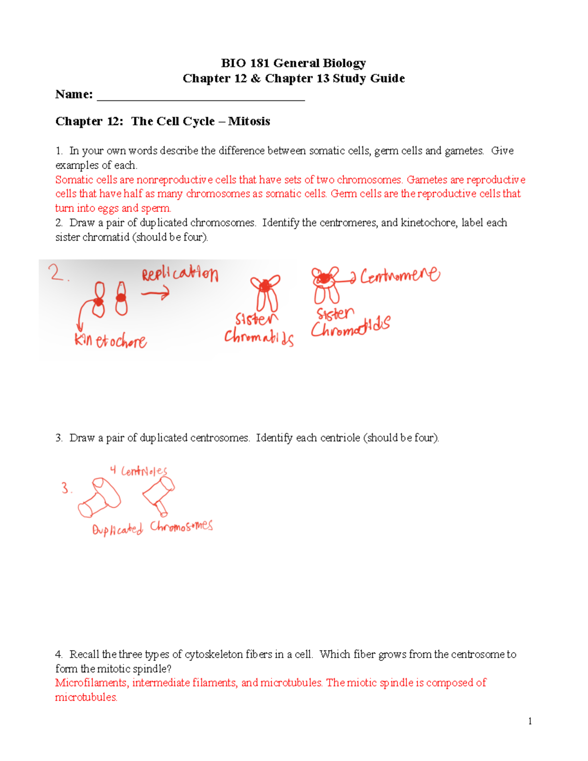 Chapt 12 and 13 Study Guide F23 - BIO 181 General Biology Chapter 12 ...