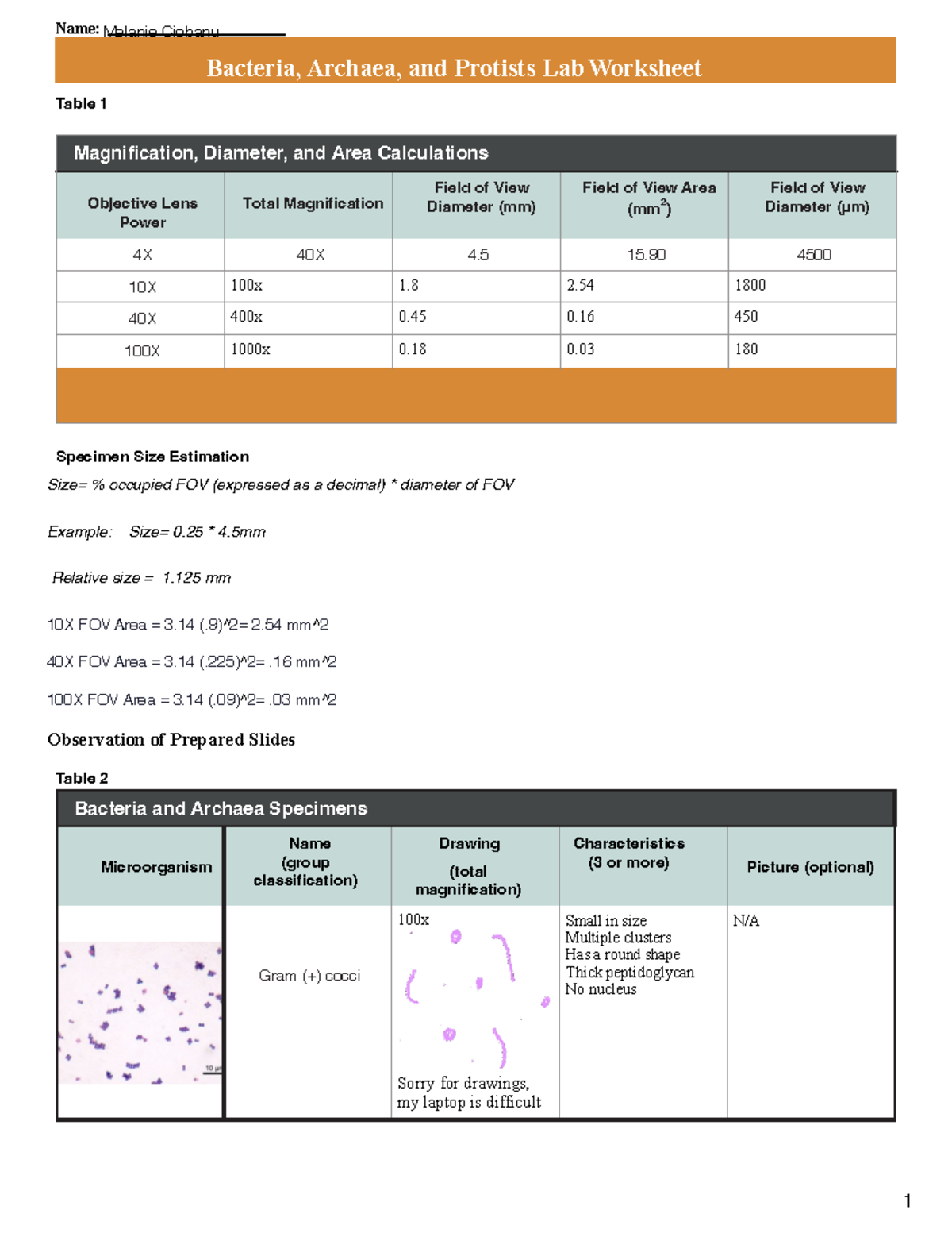 Bio182-02 - Bio worksheet - Bacteria, Archaea, and Protists Lab ...
