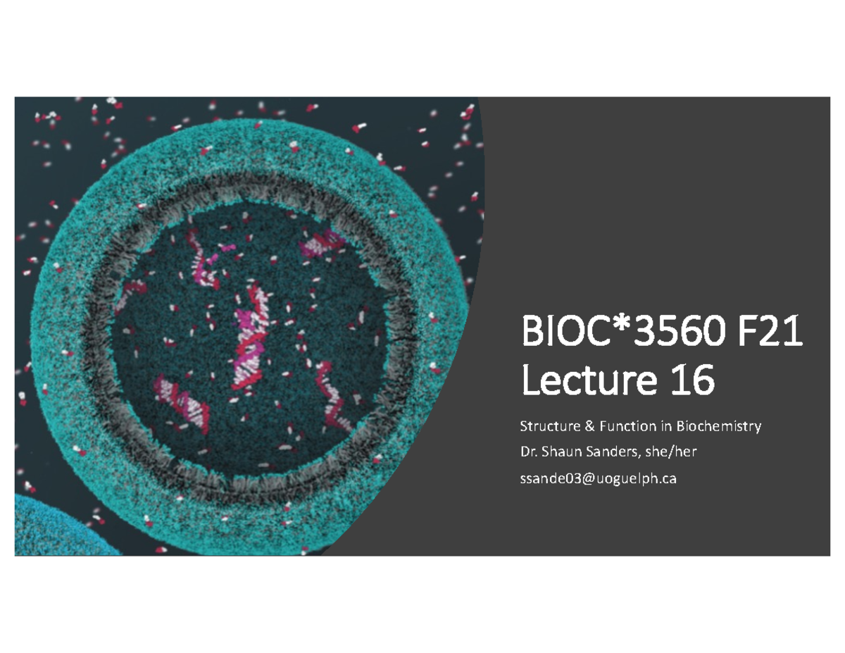 BIOC 3560 Lecture 16 - BIOC*3560 F 21 Lecture 16 Structure & Function in Biochemistry Dr. Shaun ...