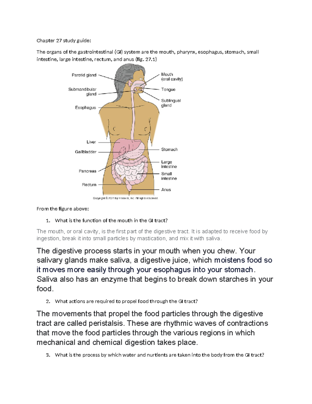 Chapter 27 study guide-1 - Chapter 27 study guide: The organs of the ...