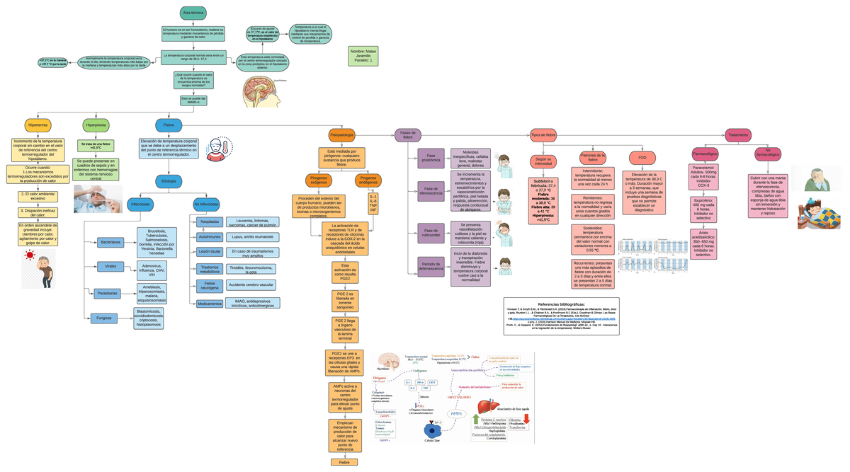 Alza térmica- Fisiopatología- Mateo Jaramillo - Alza térmica El humano ...