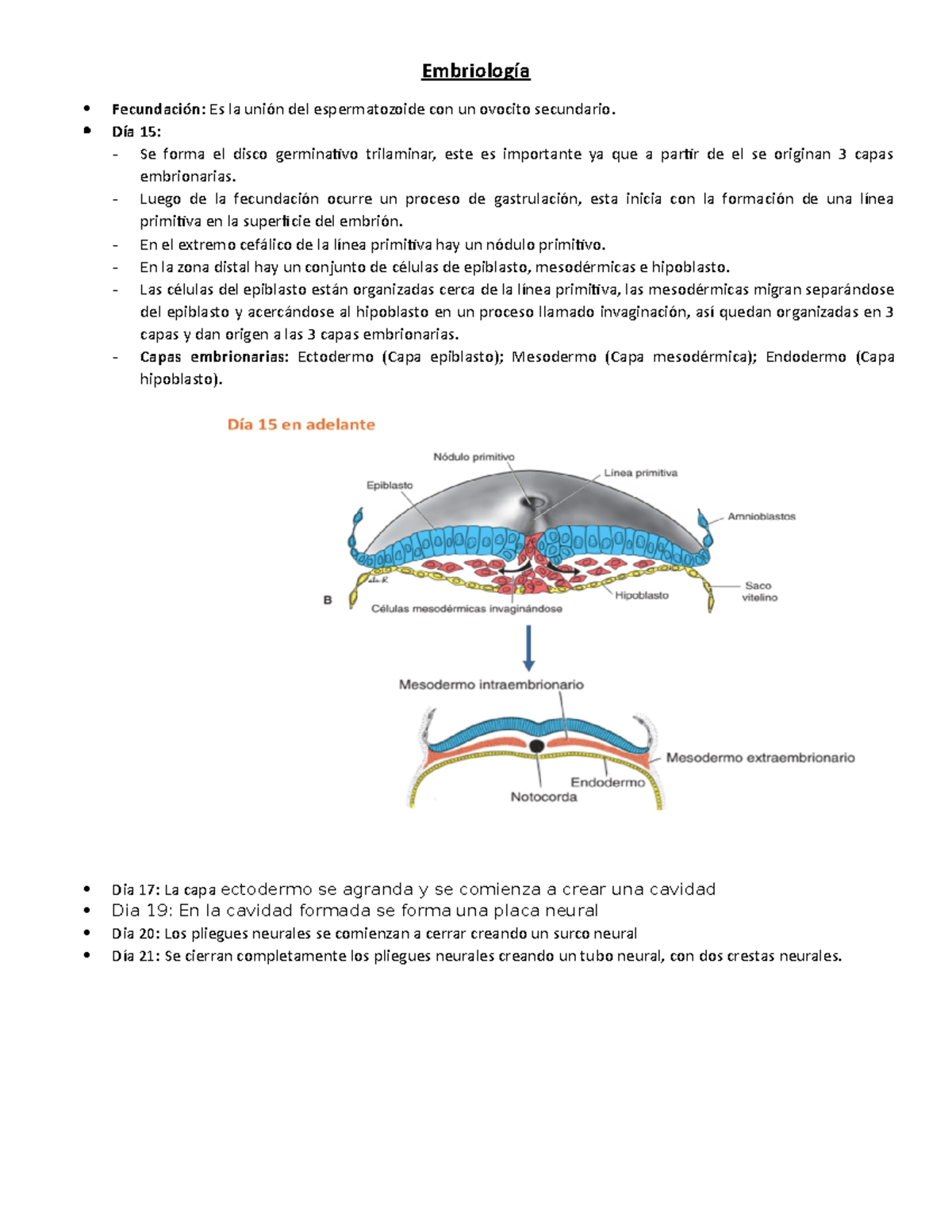 Embriologia - Embriología Fecundación: Es la unión del espermatozoide ...