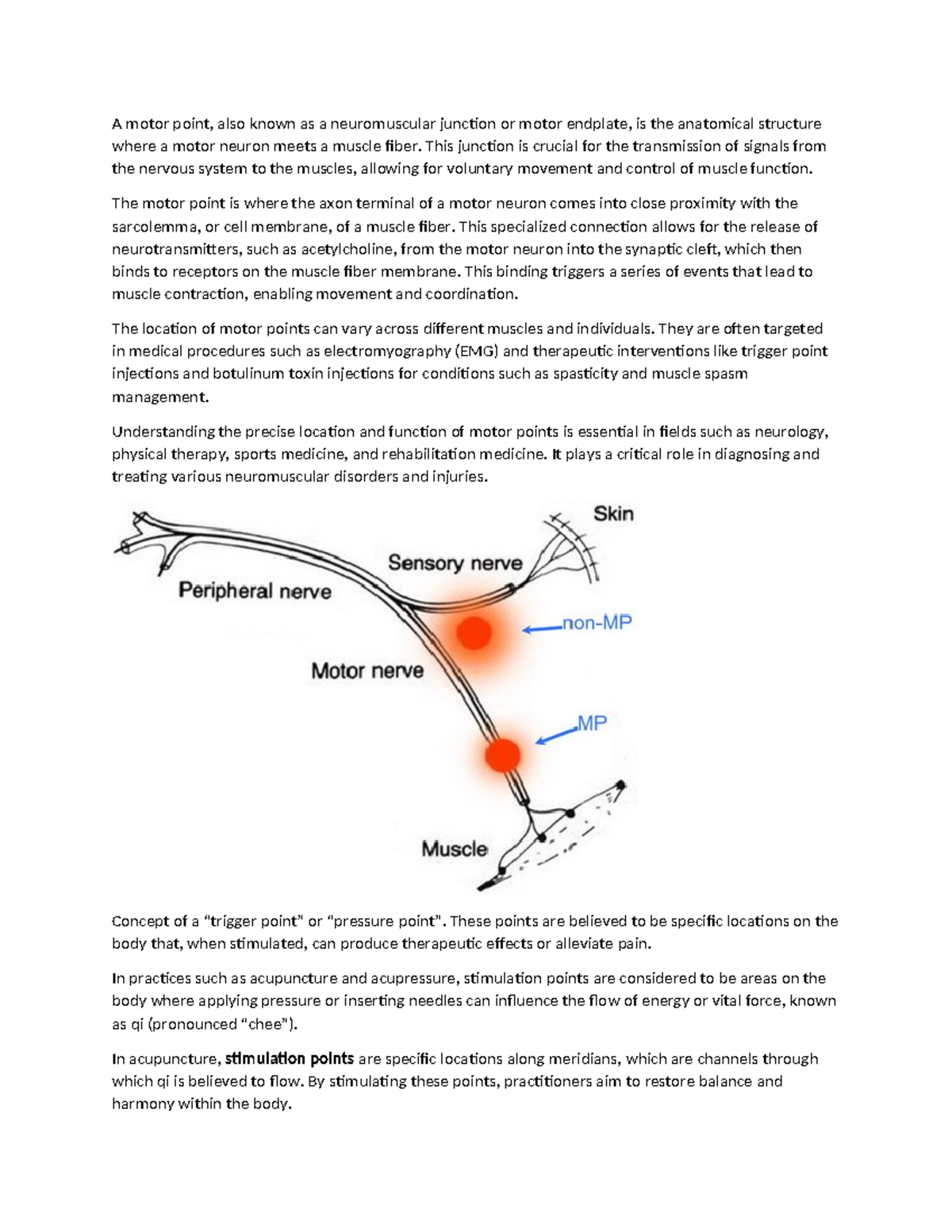 Revision - A motor point, also known as a neuromuscular junction or ...