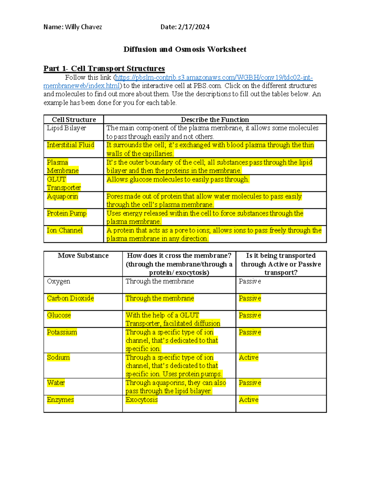 Diffusion and Osmosis Worksheet - Name: Willy Chavez Date: 2/17 ...