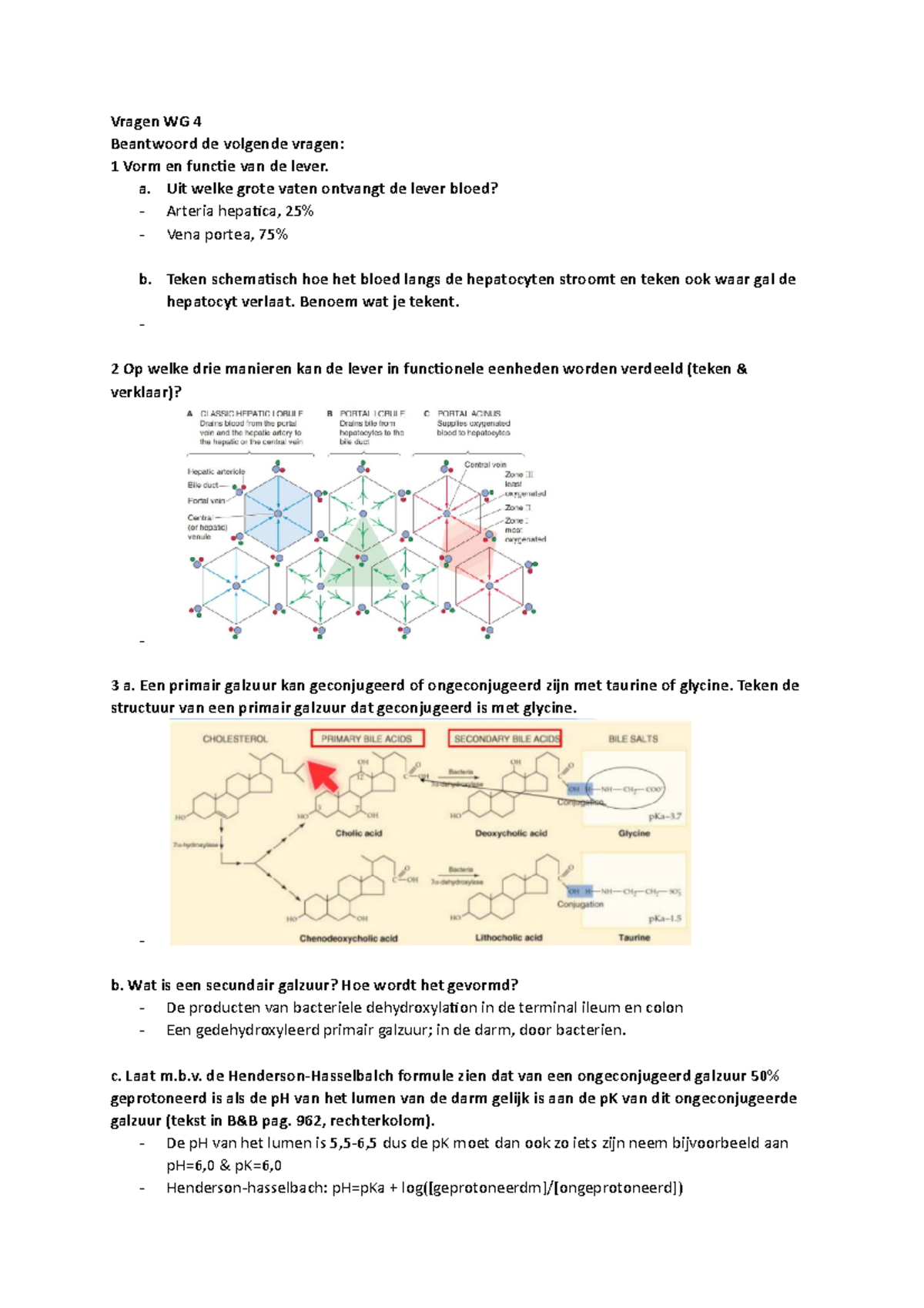 Vragen WG 4 - ZSO 6 Metabole routes-2: de lever en SMR - Vragen WG 4 ...