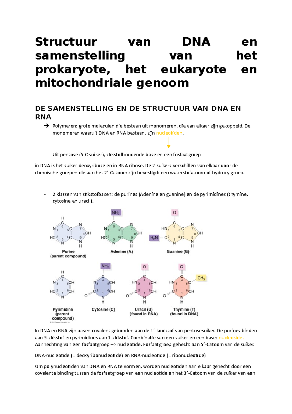 Structuur van DNA en samenstelling van het prokaryote af - Structuur ...