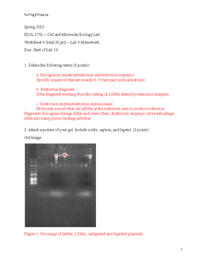 DNA Lab Report - DNA Introduction and purpose DNA extraction from an ...