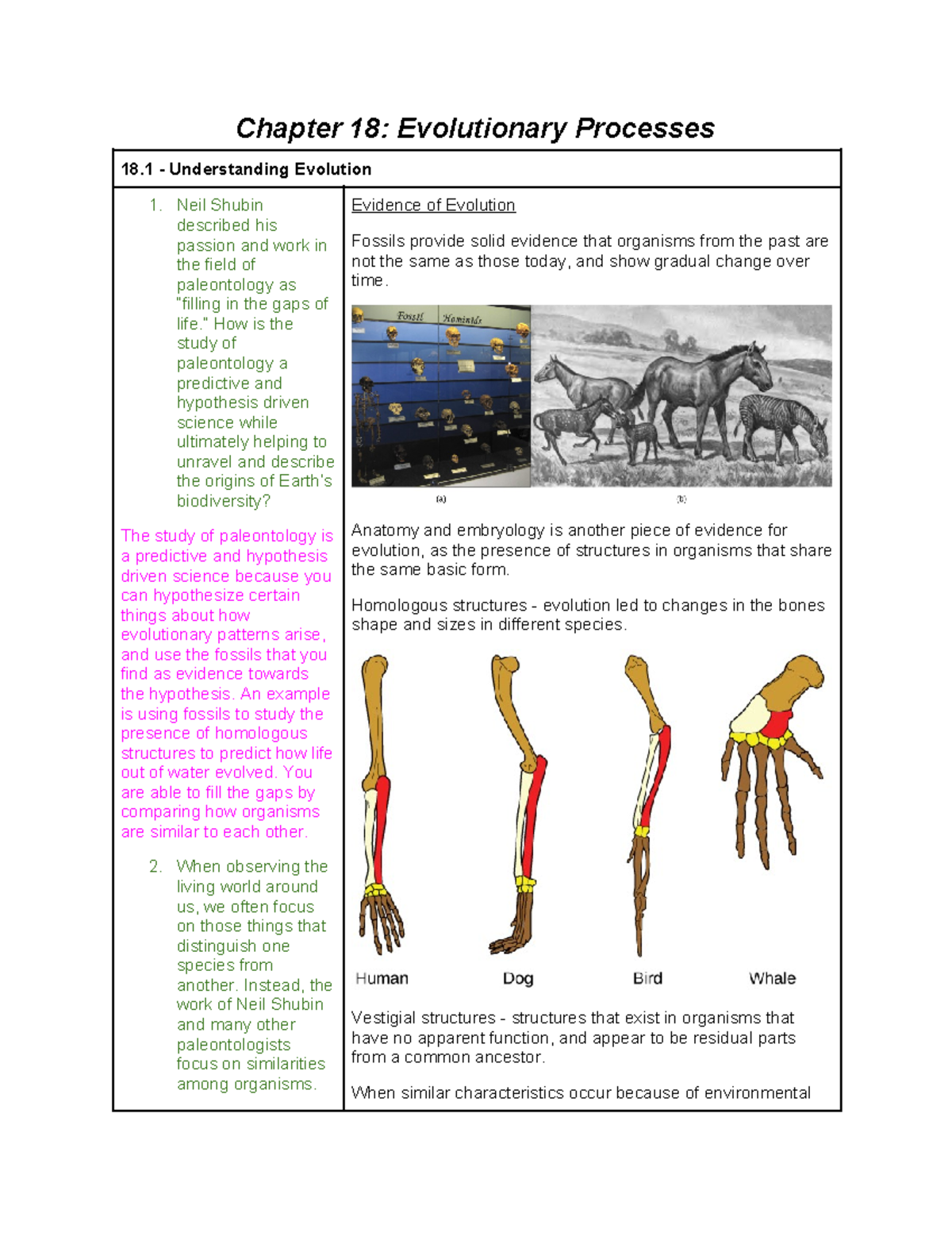 CM13 - Chapter 18: Evolutionary Processes 18 - Understanding Evolution ...