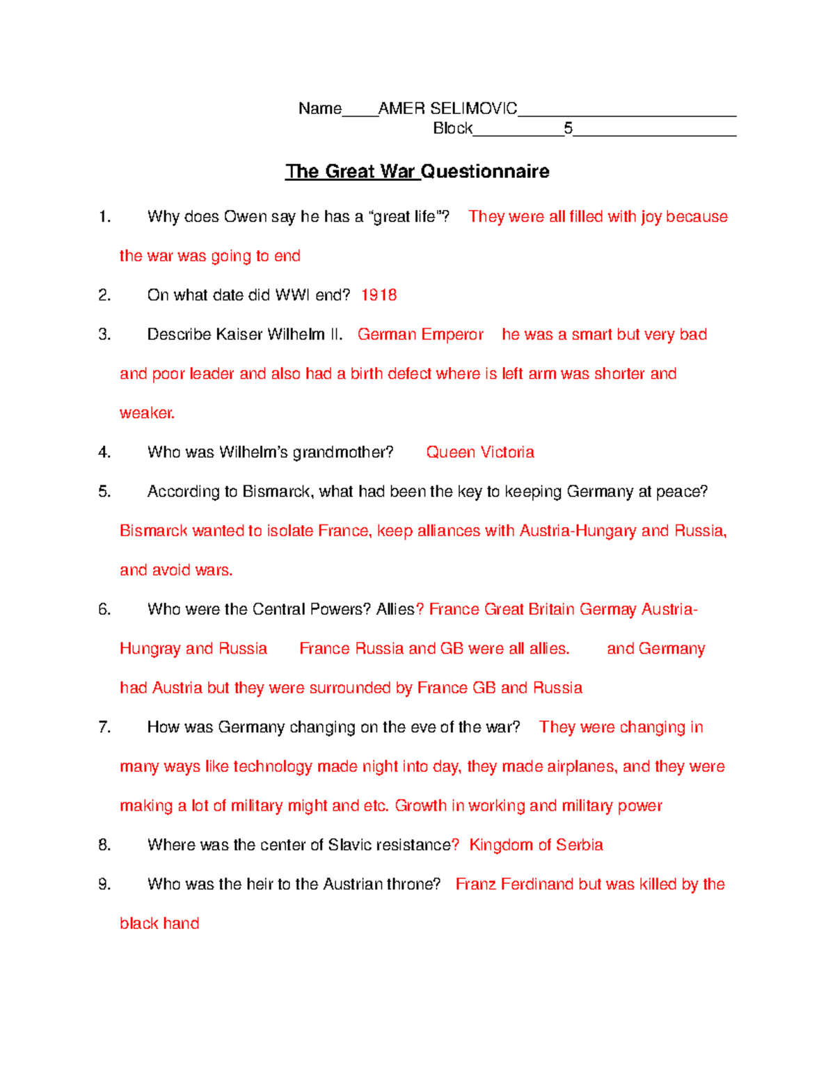 The Great War Questionnaire - Name____AMER SELIMOVIC ...