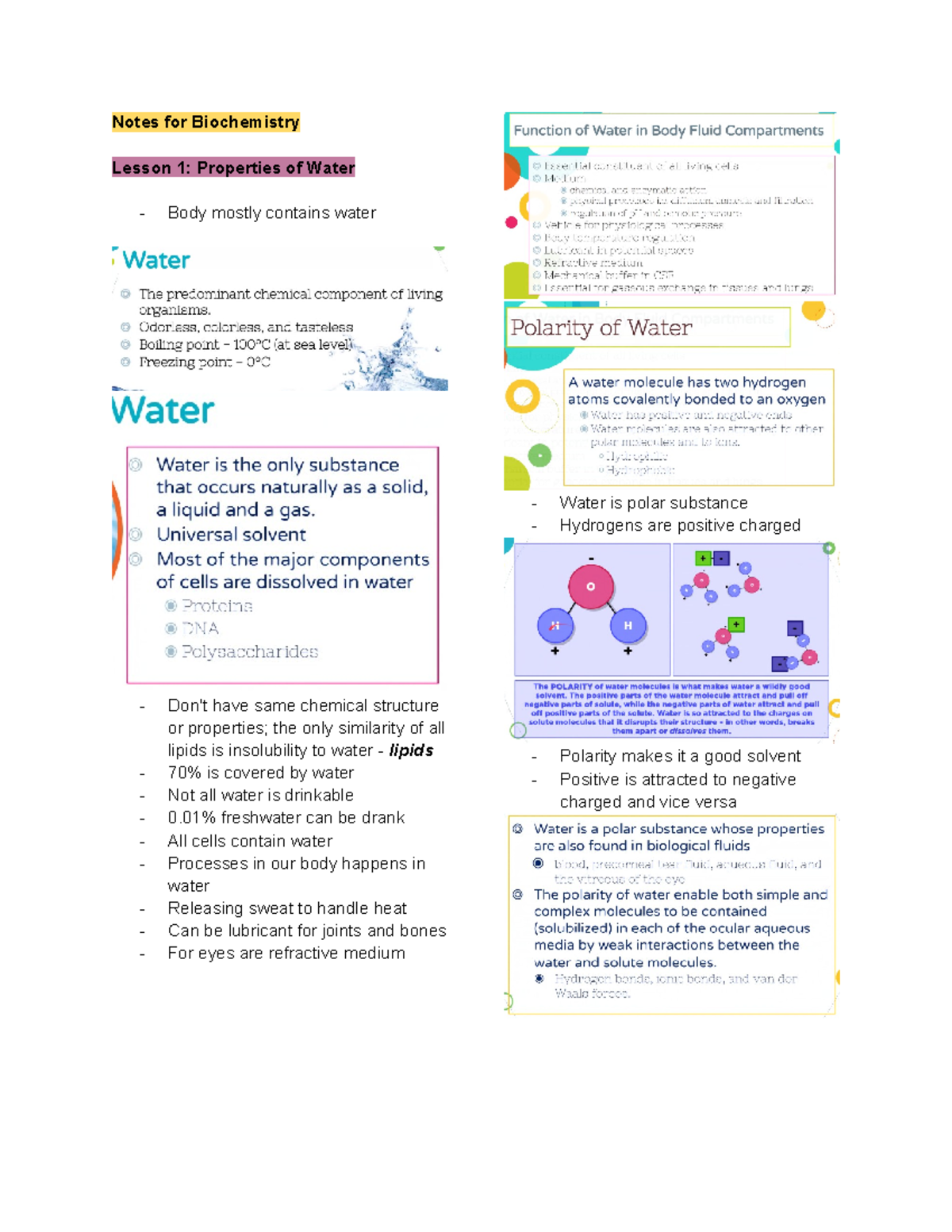 Notes for Biochem - power point document - Notes for Biochemistry ...