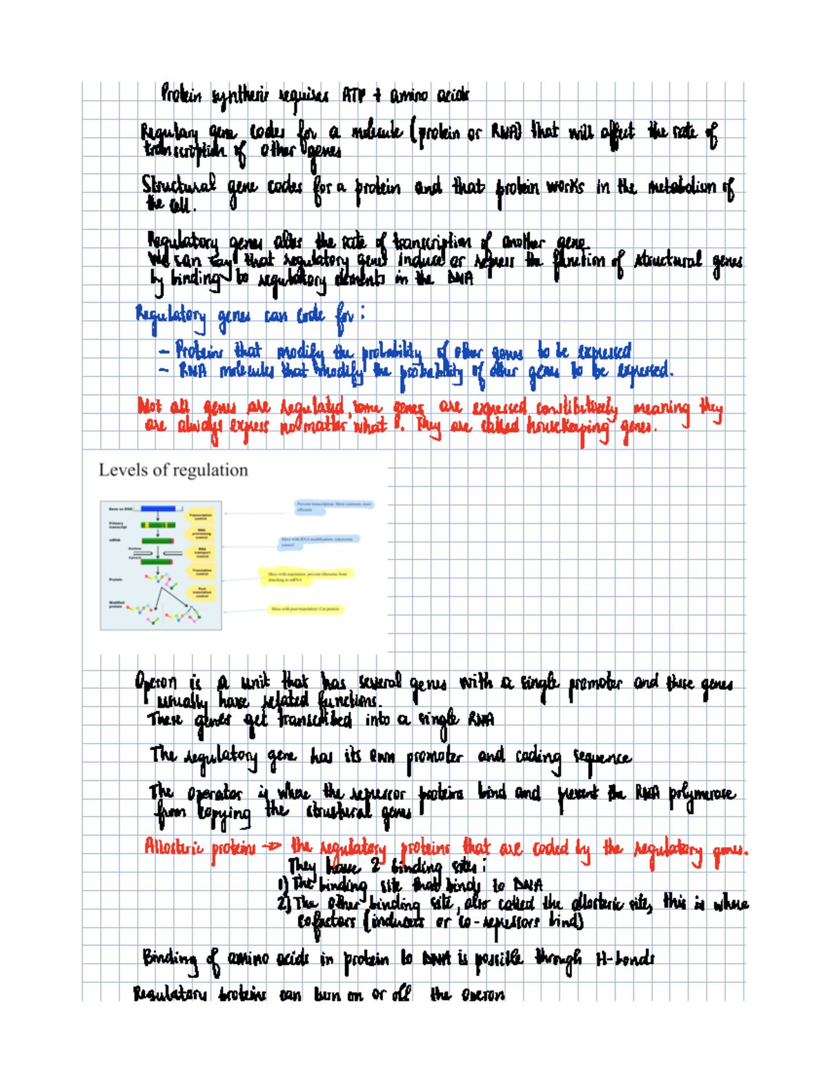 Gene expression in prokaryotes - PCB3063 - Studocu