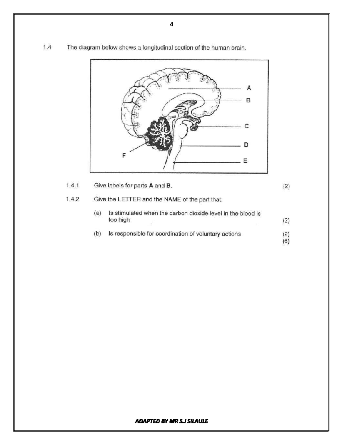 Activities GR12 genetics & inheritance - Studocu