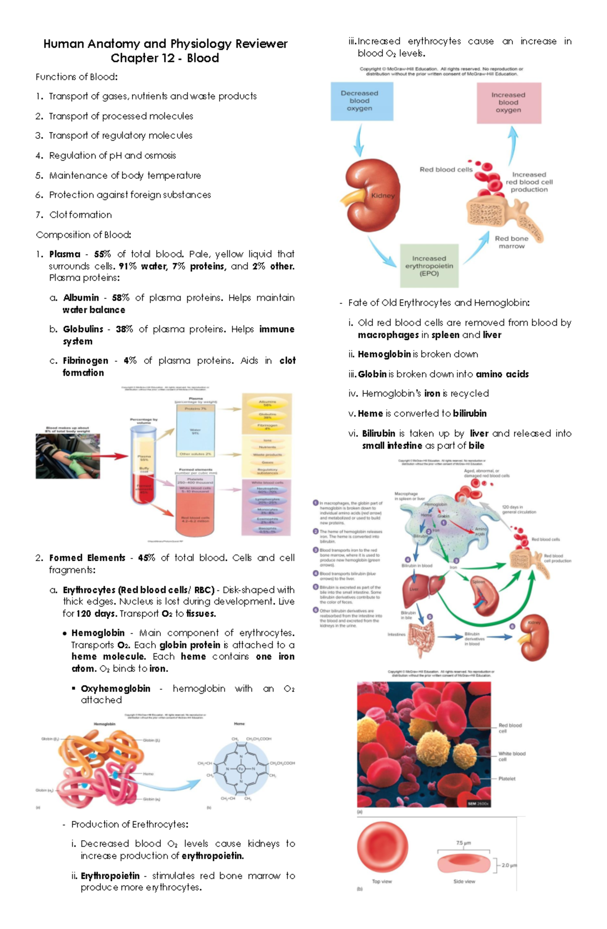 Transes-U13-Blood - Transes-U13-Blood - Human Anatomy and Physiology ...