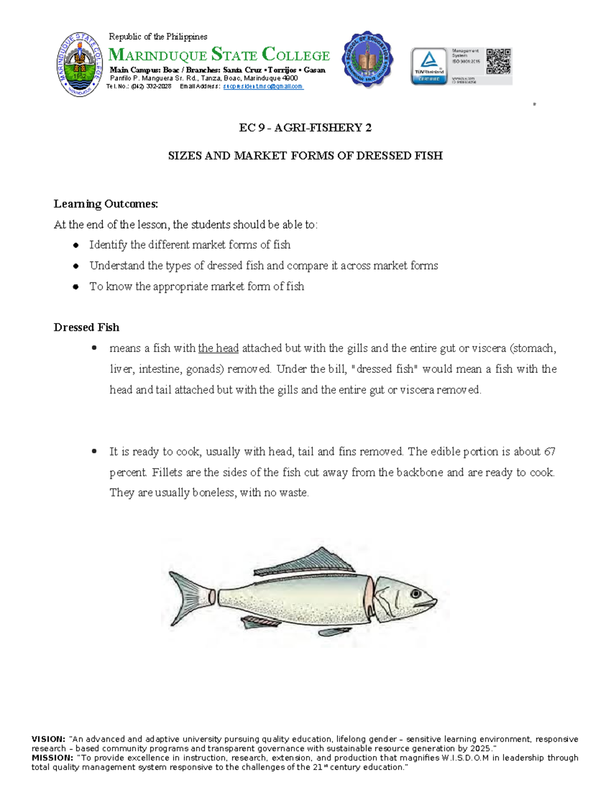 Mameng Mariel N. Ec9 Sizes and Market Forms of Dressed Fish - Republic ...