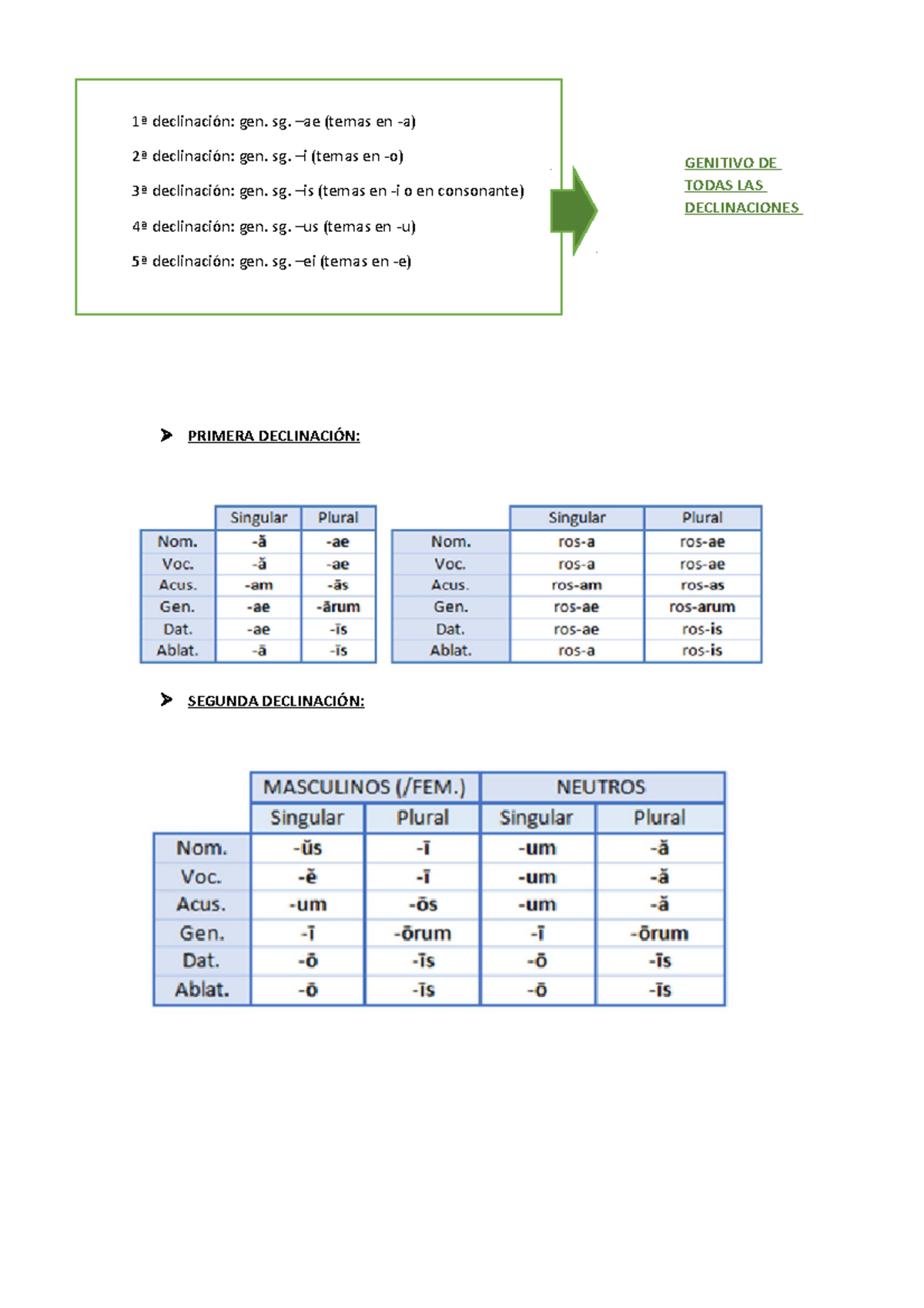 latín gramática, las 5 declinaciones, los tiempos verbales. - Lengua ...