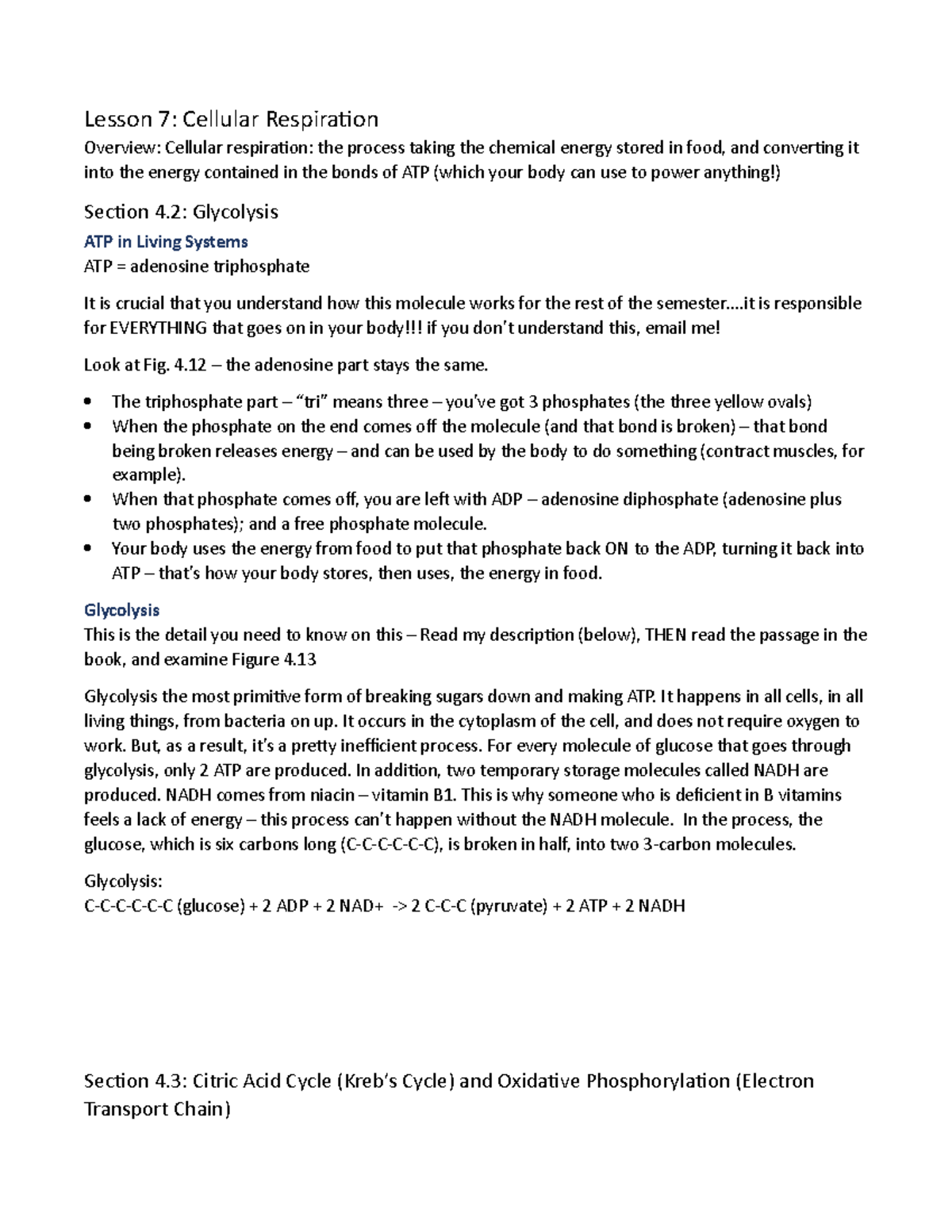 Lesson 7 Study Guide Cellular Respiration - Lesson 7: Cellular ...