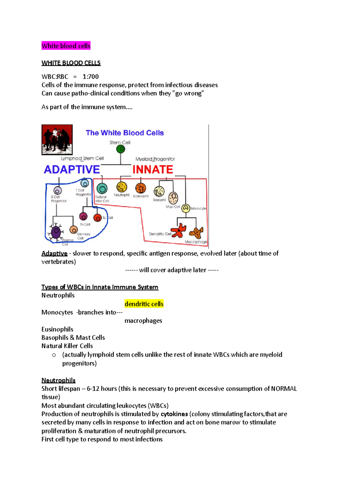 week 2 group tutorial questions and answers - White blood cells WHITE ...