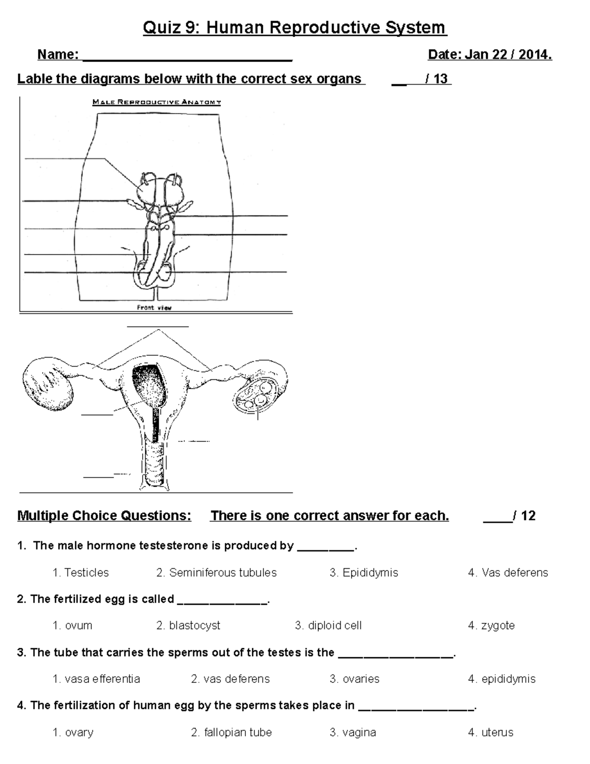 Quiz 9 Human Reproduction Pregnancy menstruation graphs - Quiz 9: Human ...