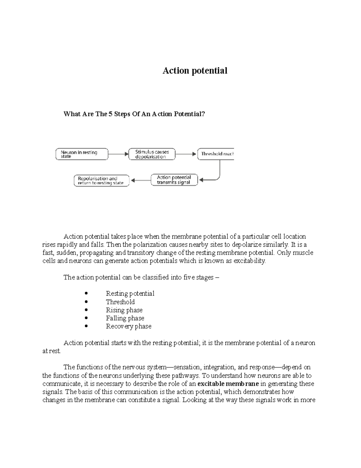Action potential - Lecture notes 1-3 - Action potential What Are The 5 ...