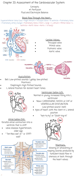 Exam 2 Study Guide - Exam 2 Study Guide Look over biophysical profile ...