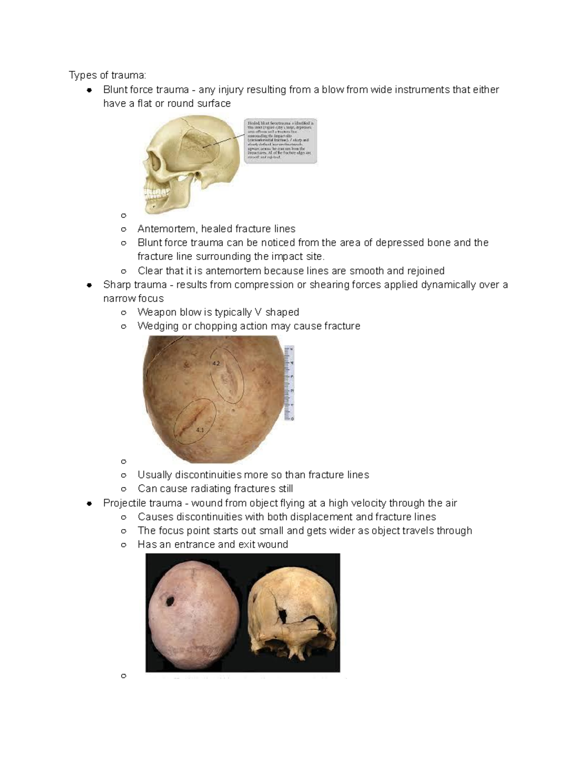 Anthro study guide - Types of trauma: Blunt force trauma - any injury ...