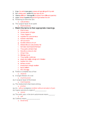 Anatomy - Medical Terminology - Medical Terminology Anatomy and ...