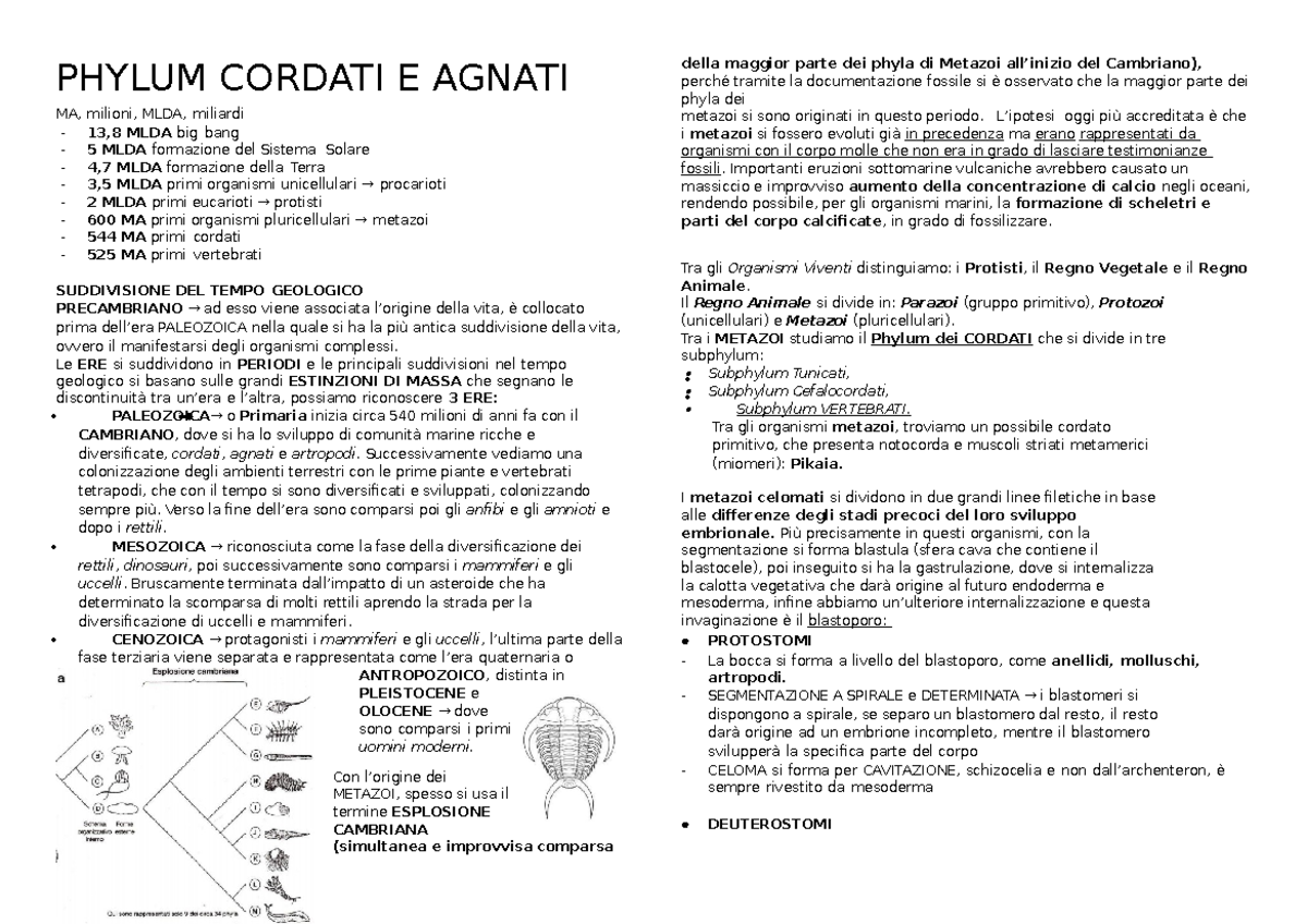 2- Agnati e Cordati - PHYLUM CORDATI E AGNATI MA, milioni, MLDA ...