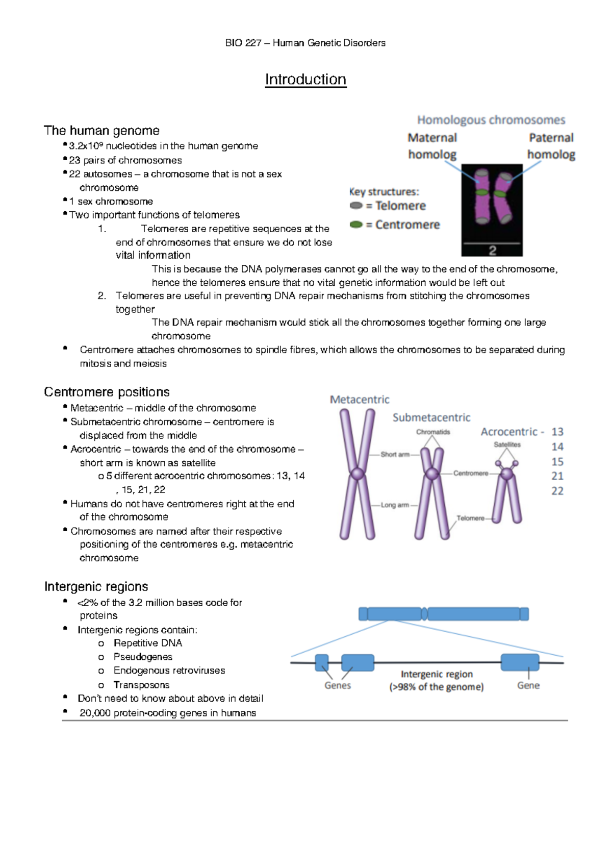 Lecture 1 - Introduction - Introduction The human genome • 3 9 ...