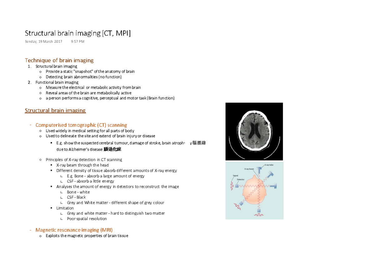 Structural brain imaging [CT, MPI] - Structural brain imaging [CT, MPI ...