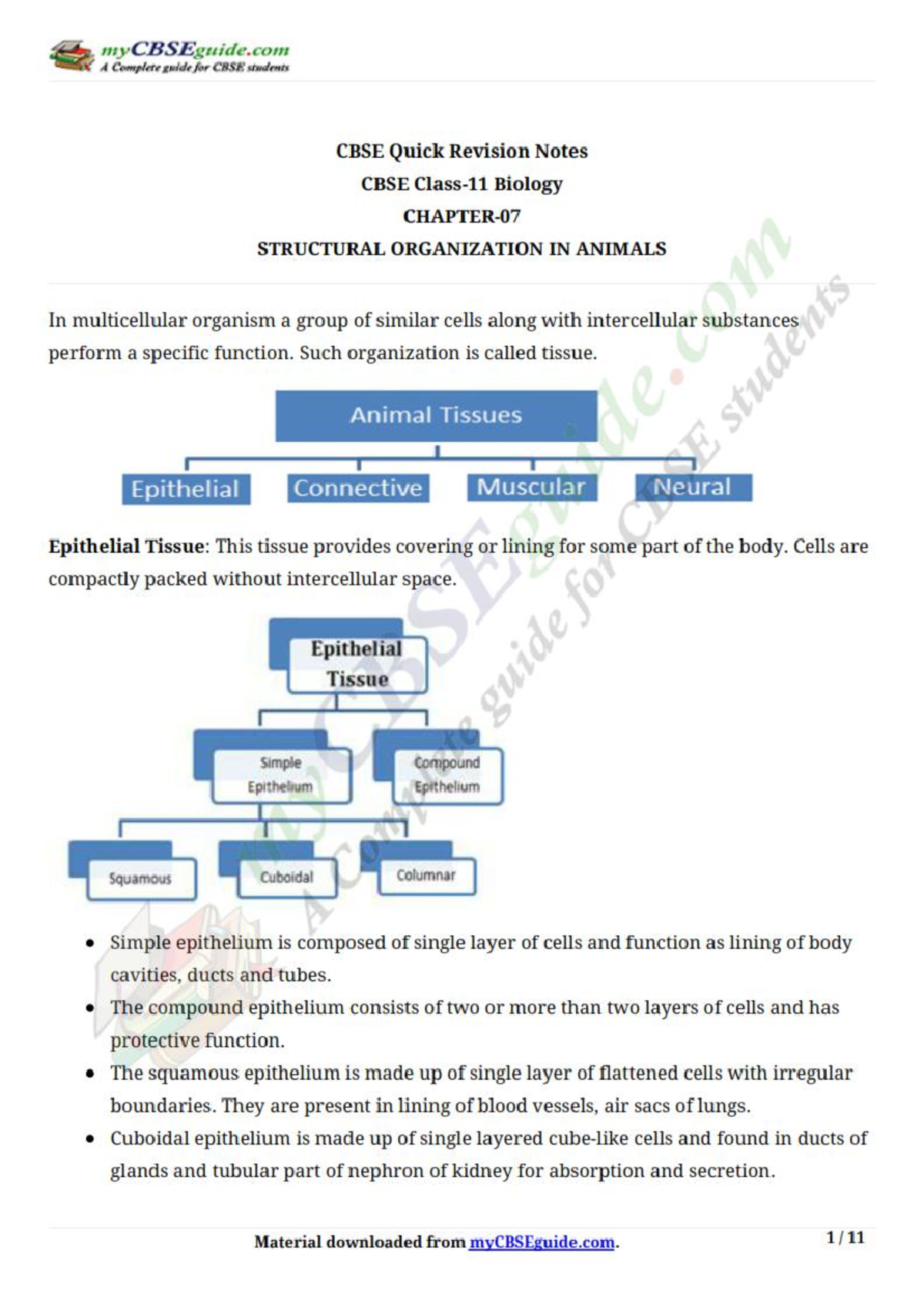 11 biology notes ch07 structural organisation in animals - Neet physics ...