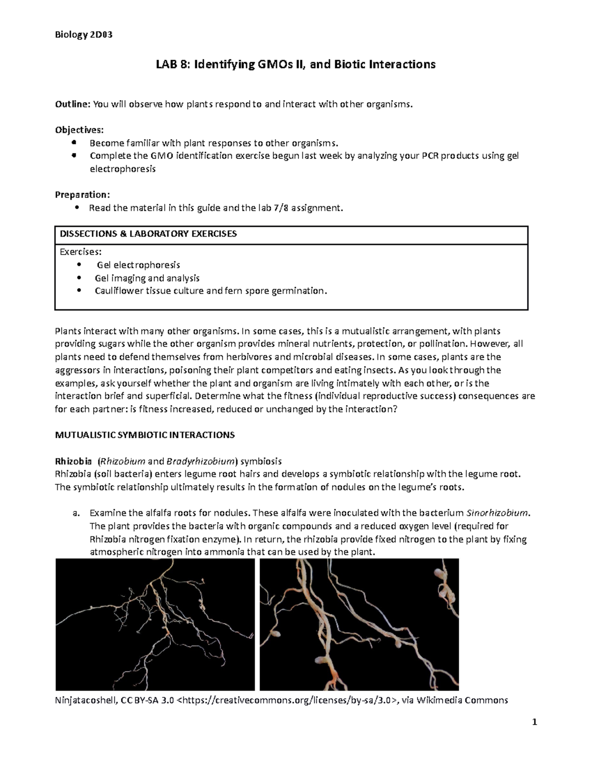 Bio 2D03 Lab 8 - Biotic interactions F2023 - LAB 8: Identifying GMOs II ...