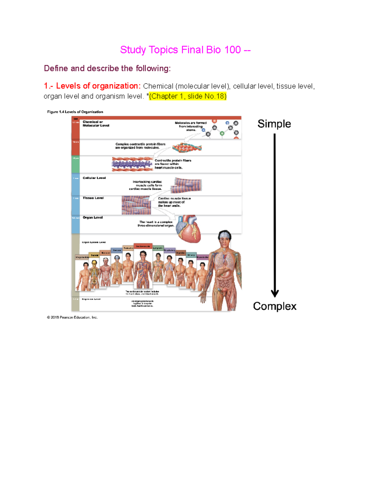 Anatomy Finals WITH UN- Named Diagrams - Study Topics Final Bio 100 ...