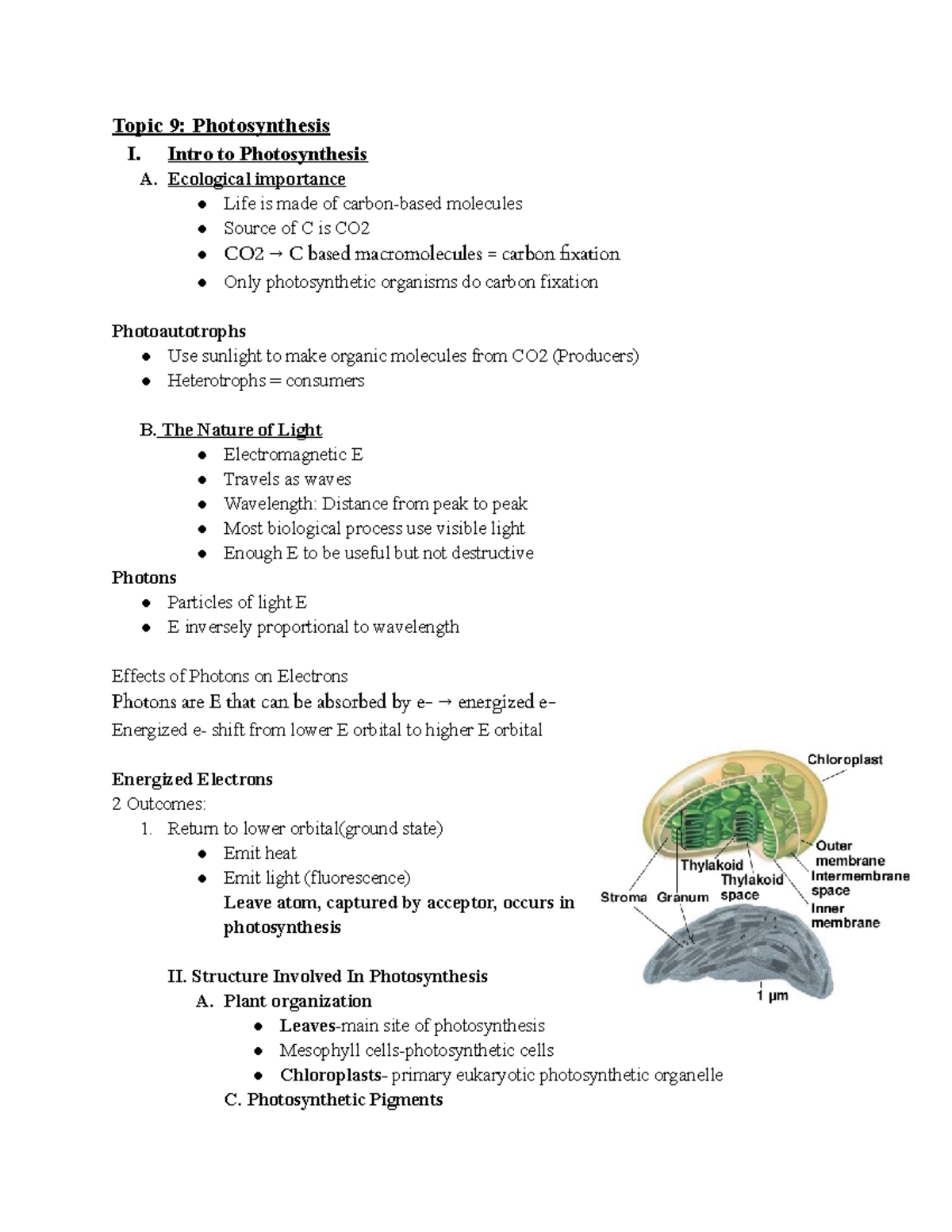 Topic 9 Photosynthesis - Topic 9: Photosynthesis I. Intro to ...