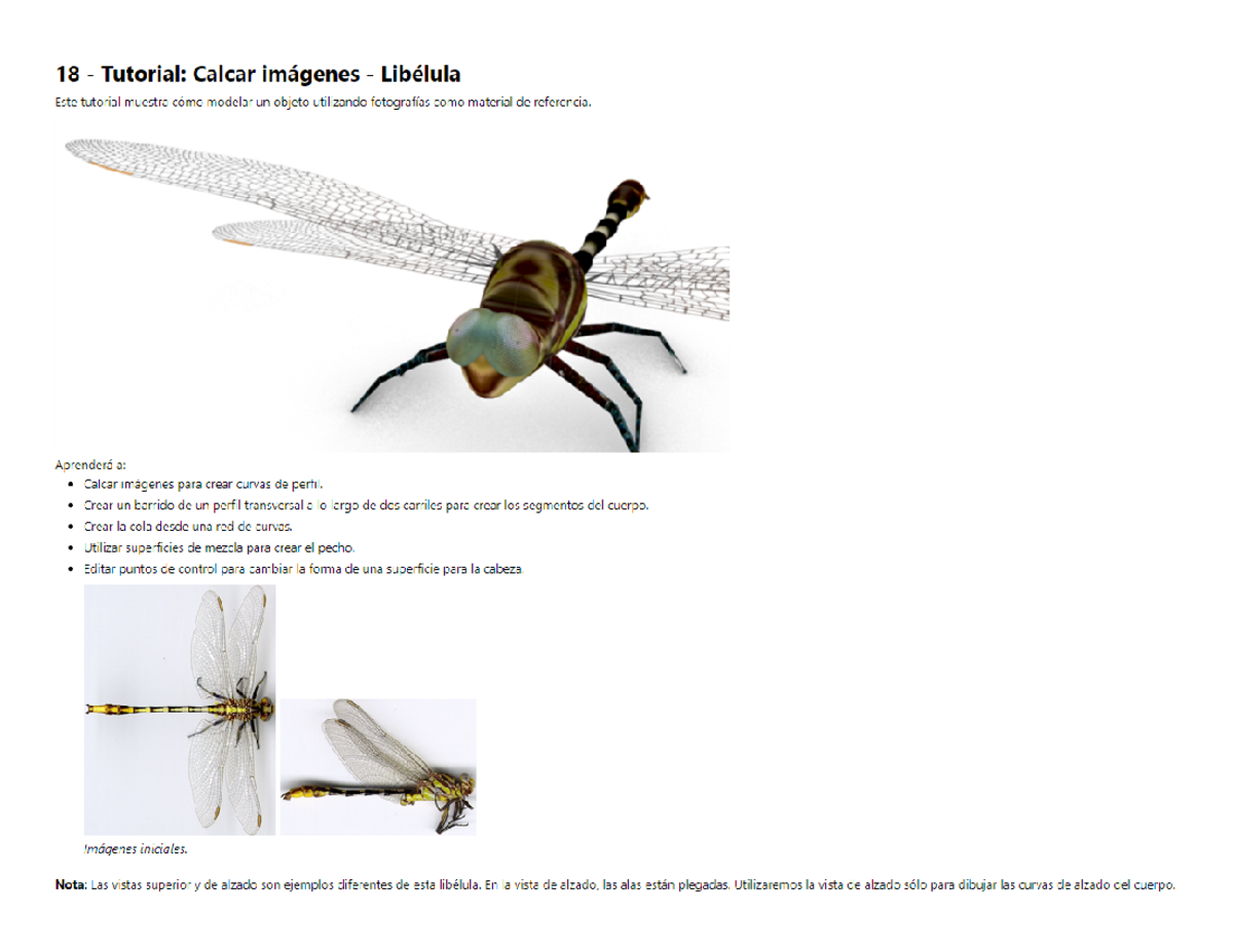 Libelula Tutorial - Biologia general - Studocu