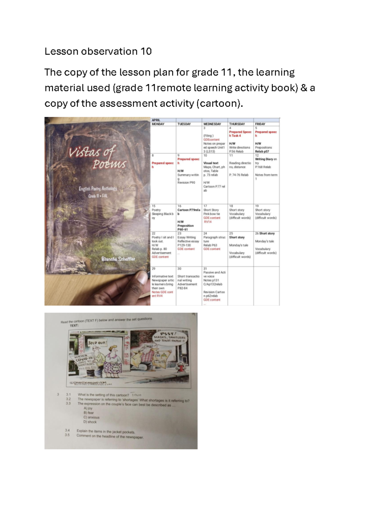 Grade 11 lesson observation 10 - 90102 - Lesson observation 10 The copy ...