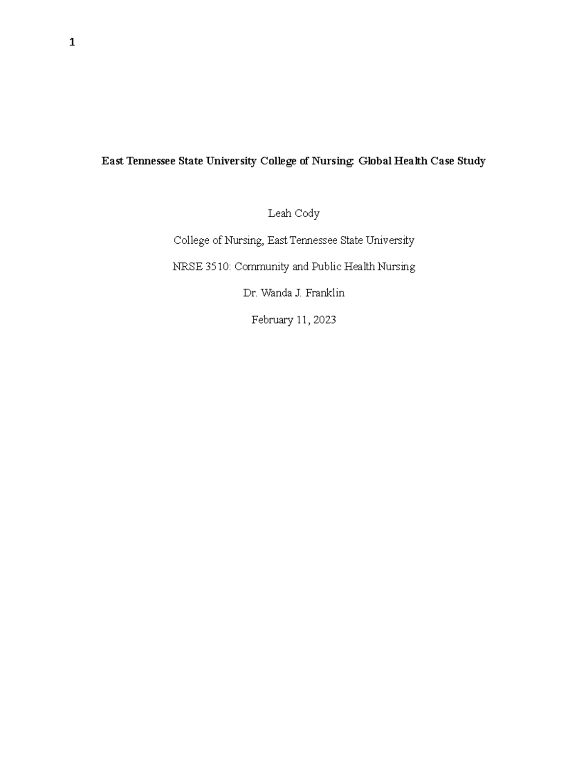 Global case study - East Tennessee State University College of Nursing ...