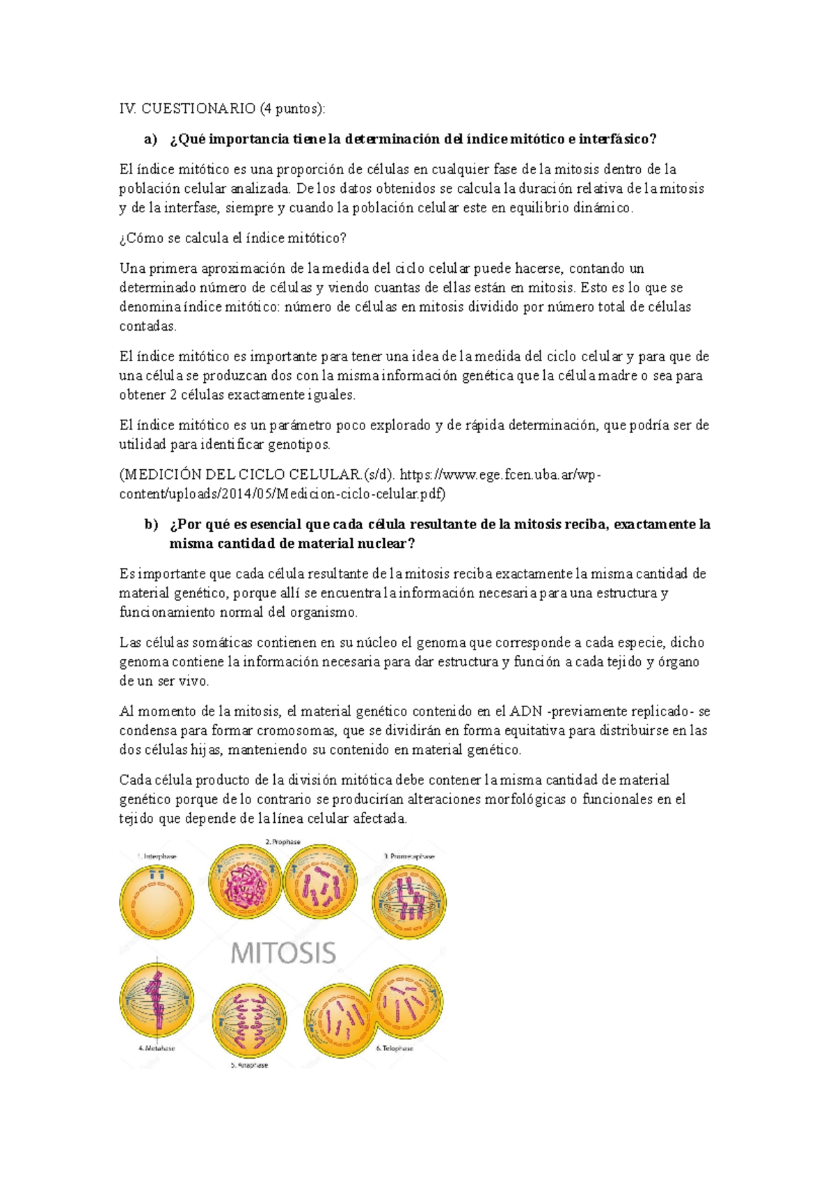 Biologia Semana 9 - IV. CUESTIONARIO (4 puntos): a) ¿Qué importancia ...